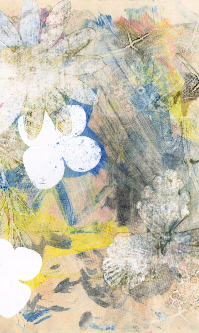 Harris, Kevin (Songs With Birds 5th Stanza) – Black Art In America ...